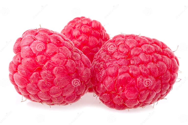 Raspberries stock image. Image of botanic, freshness - 18191265