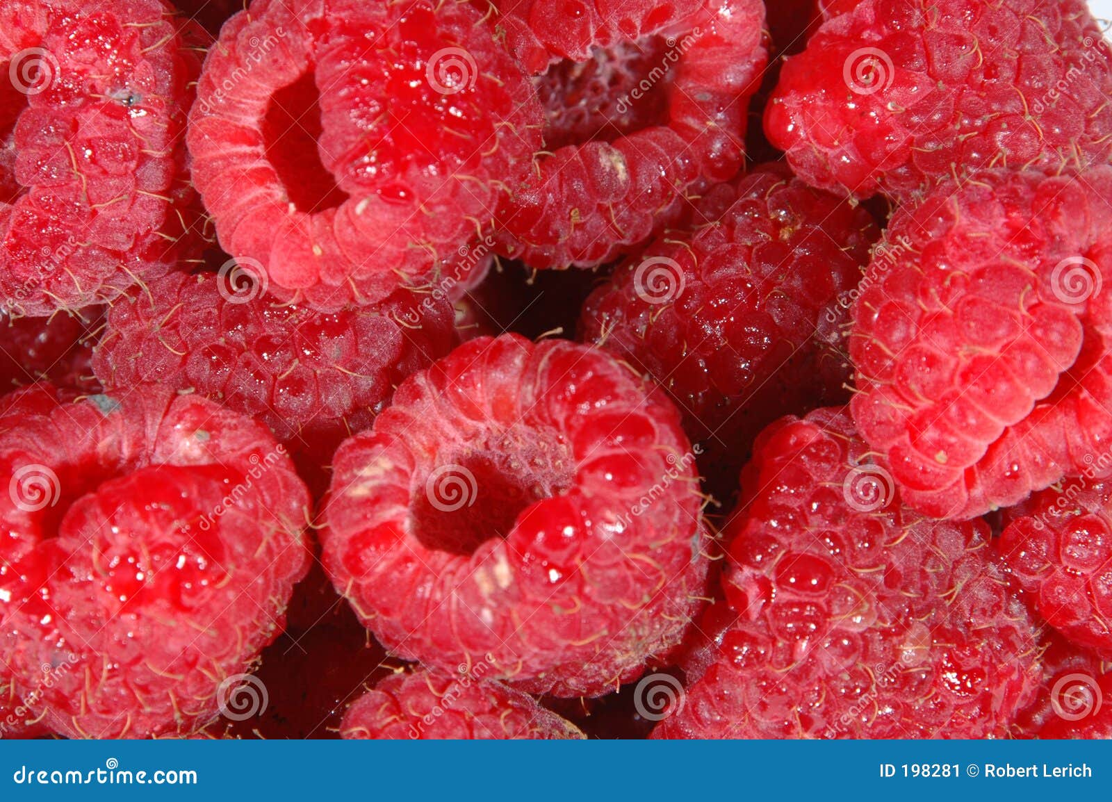 Raspberries stock image. Image of fruit, market, produce - 198281