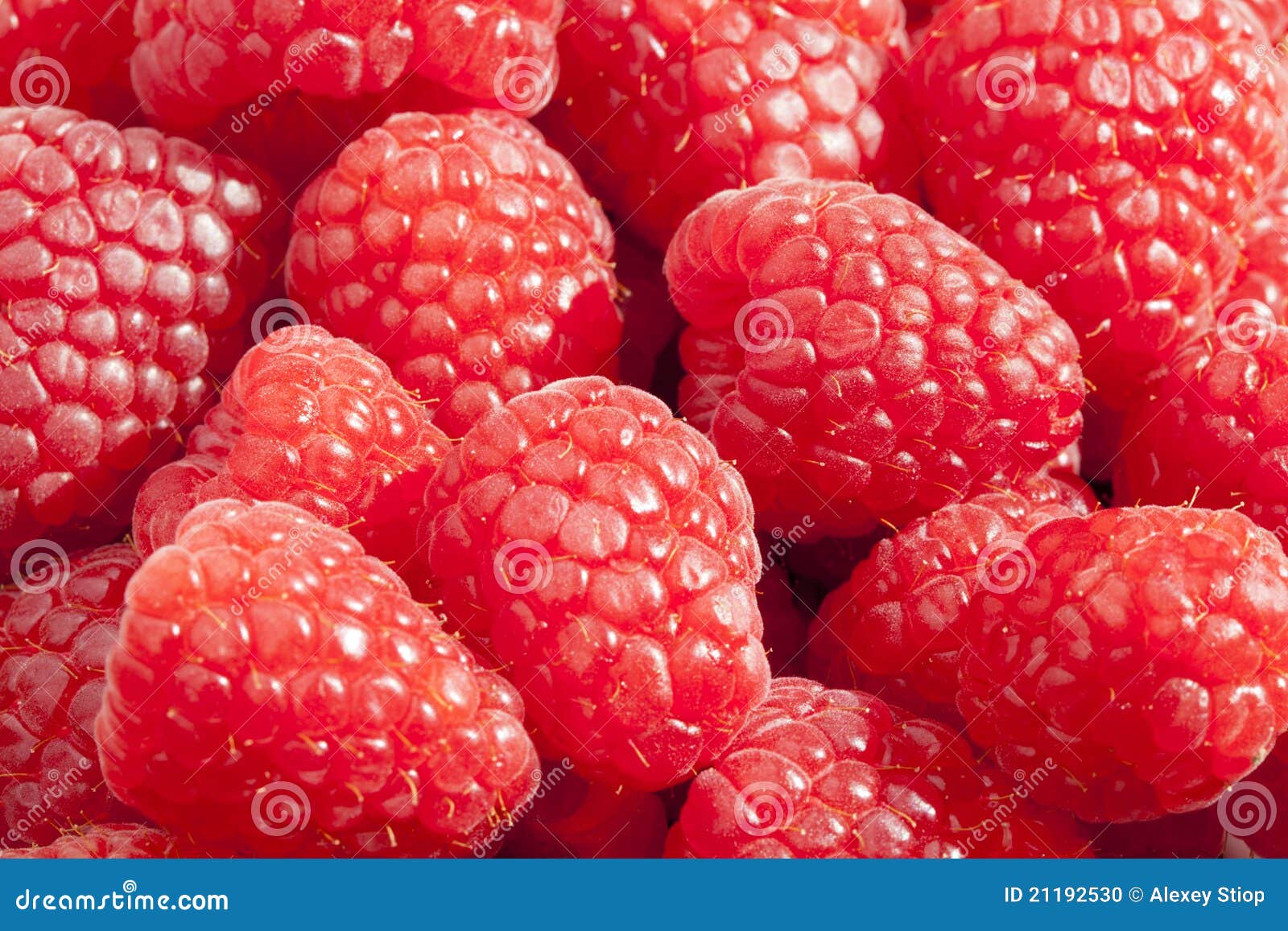 Raspberries stock photo. Image of details, vitamin, organic - 21192530