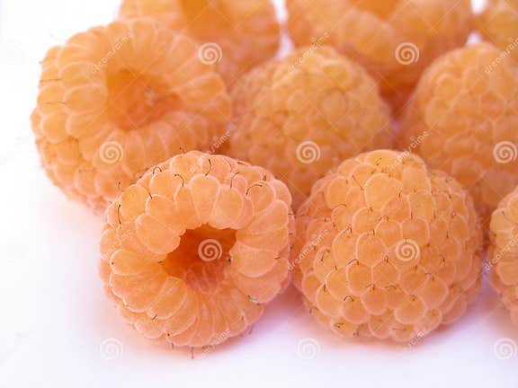 Raspberries stock image. Image of juicy, isolated, foods - 220063