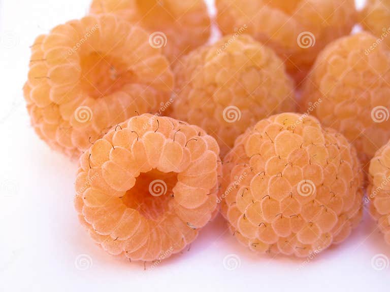 Raspberries stock image. Image of juicy, isolated, foods - 220063