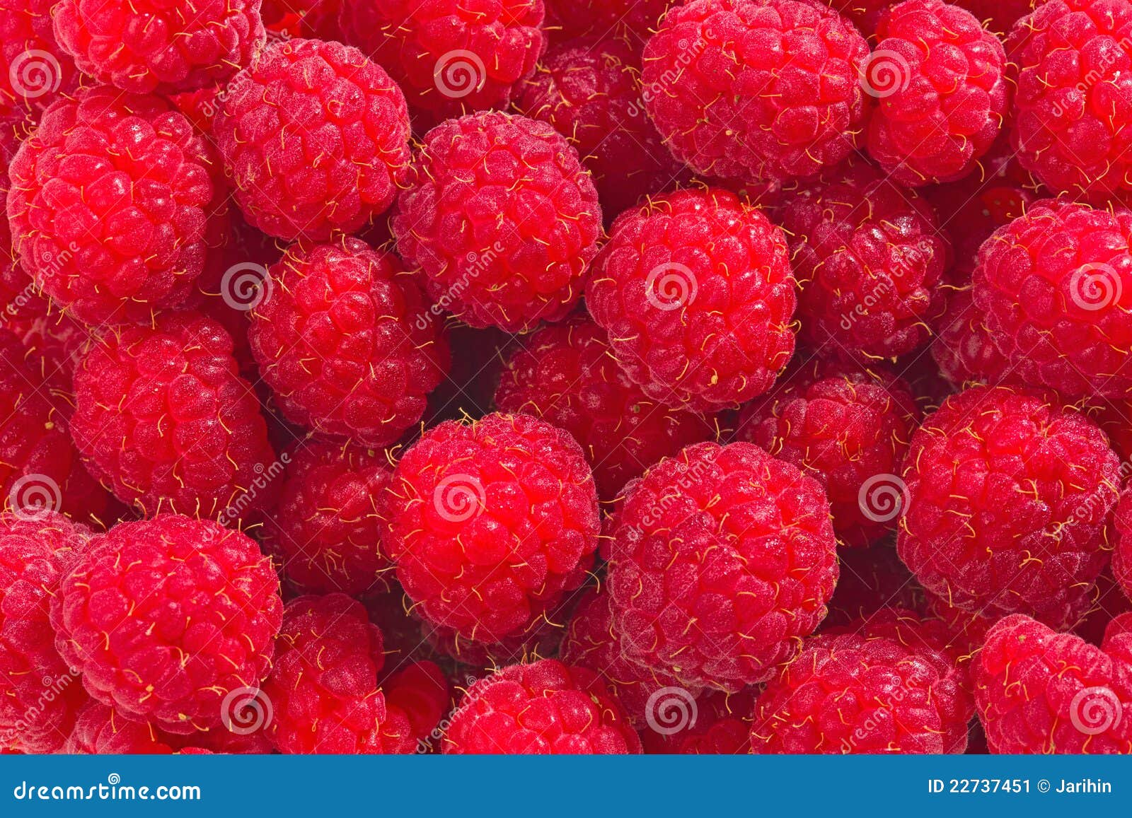 Raspberries stock image. Image of fruit, summer, garden - 22737451