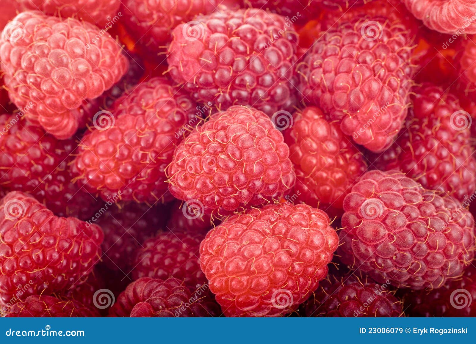 Raspberries stock image. Image of berry, ripe, freshness - 23006079