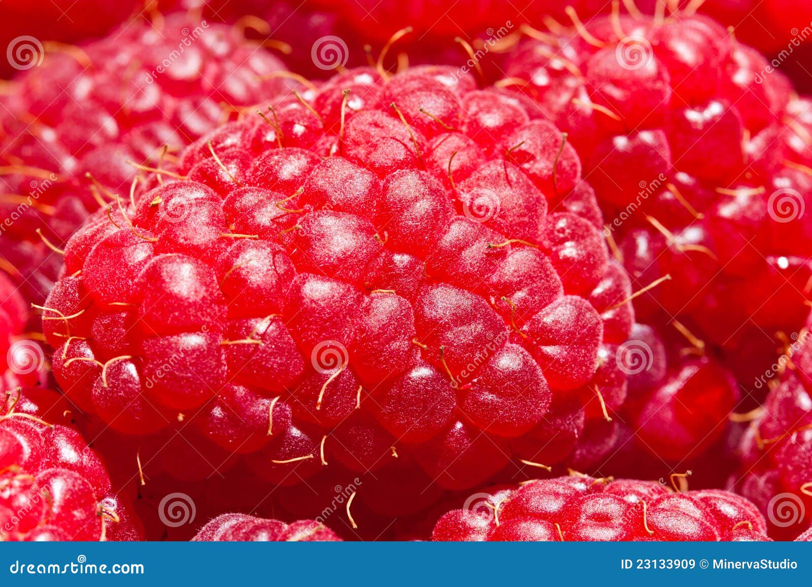 Raspberries stock image. Image of group, soft, fresh - 23133909