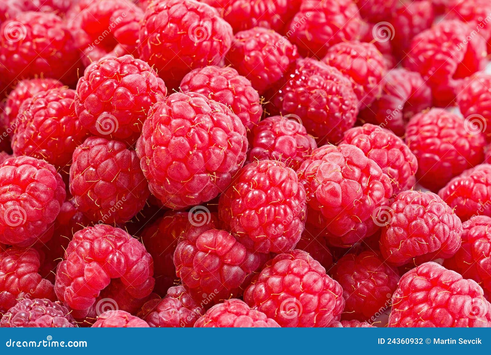 Raspberries stock photo. Image of lifestyle, ingredient - 24360932