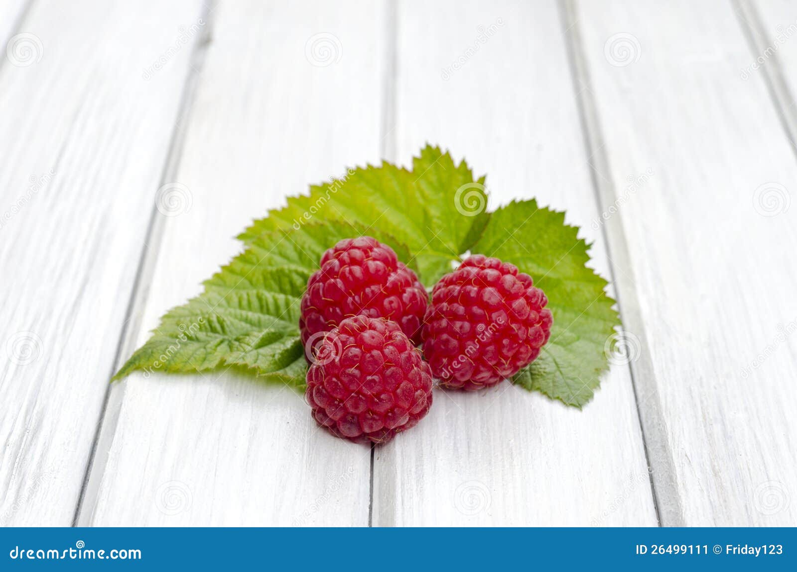 Raspberries stock image. Image of fresh, raspberry, white - 26499111