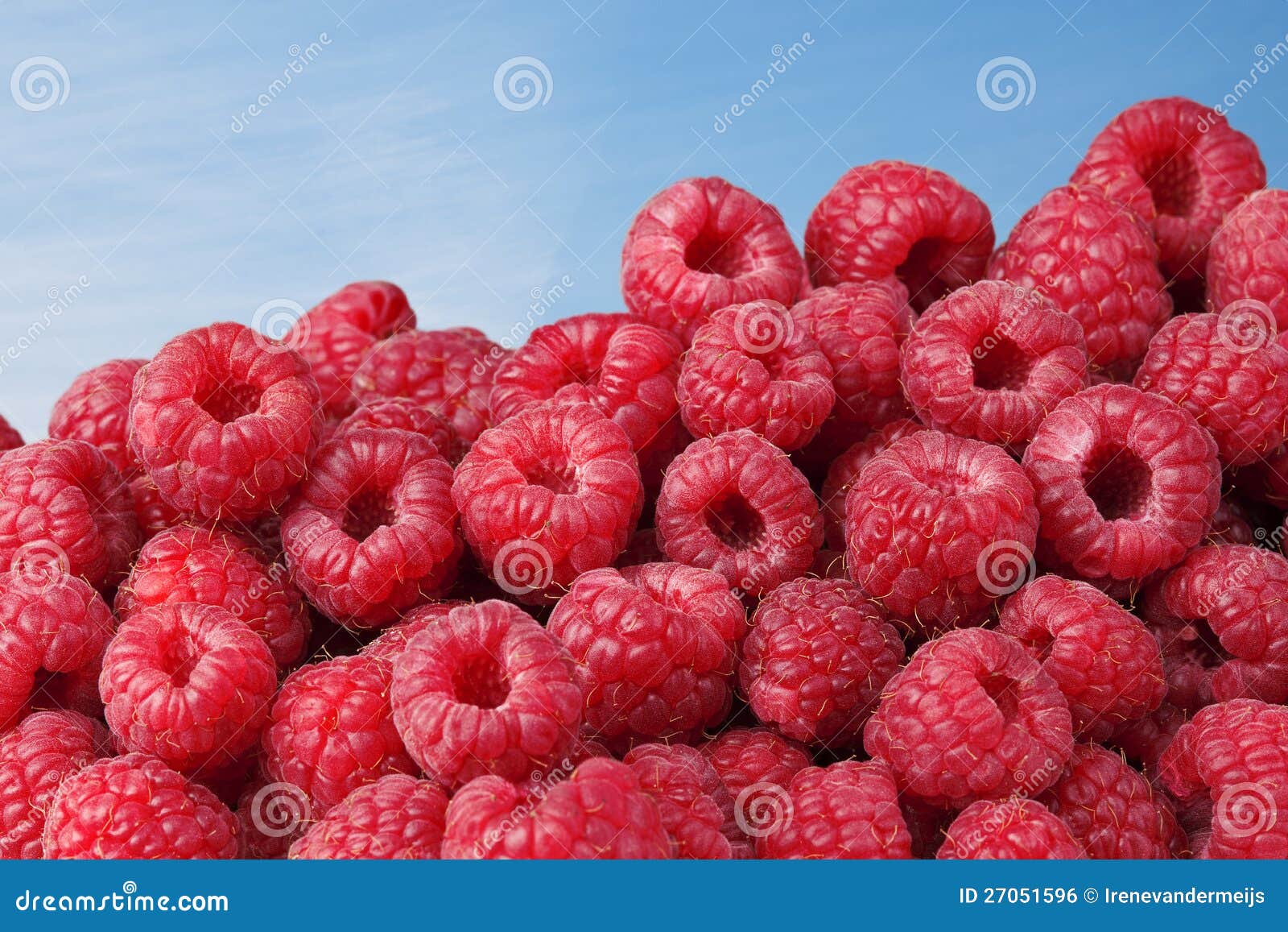 Raspberries stock photo. Image of juicy, ingredient, refreshment - 27051596