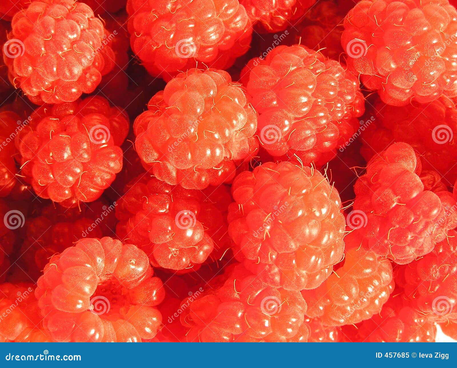 Raspberries stock image. Image of vitamins, berry, dessert - 457685
