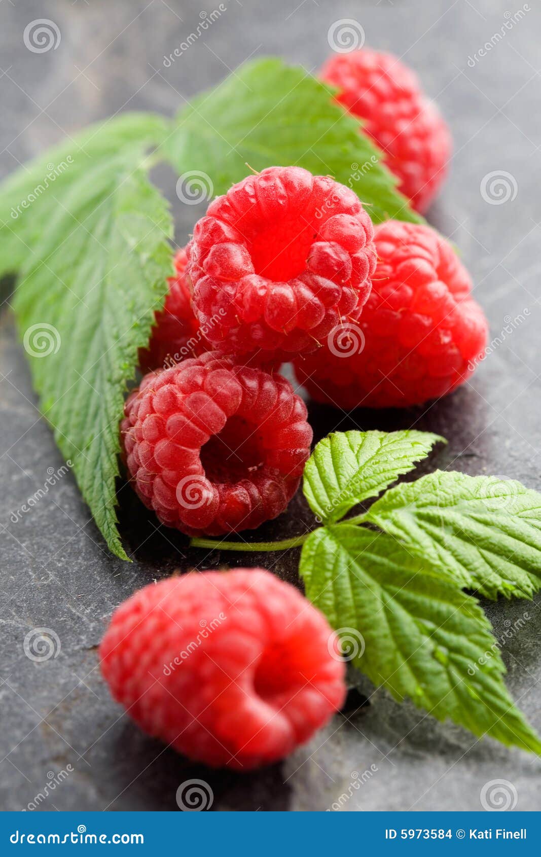 Raspberries stock photo. Image of nature, snack, purity - 5973584