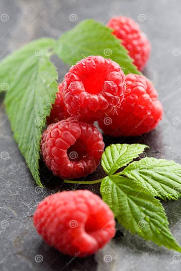 Raspberries stock photo. Image of nature, snack, purity - 5973584