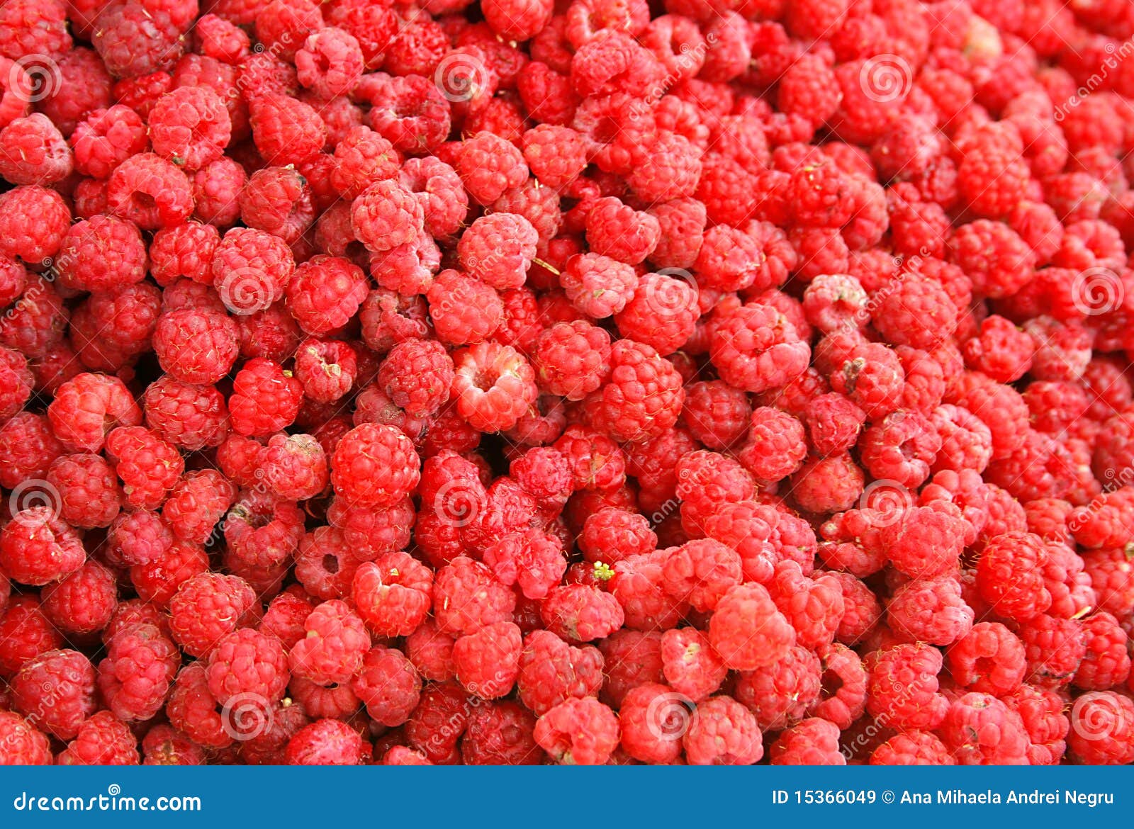 Raspberries background stock image. Image of healthy - 15366049