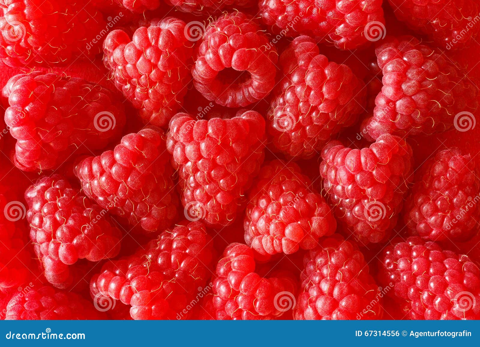 Raspberries Background Texture Raspberry Red Stock Photo - Image of ...