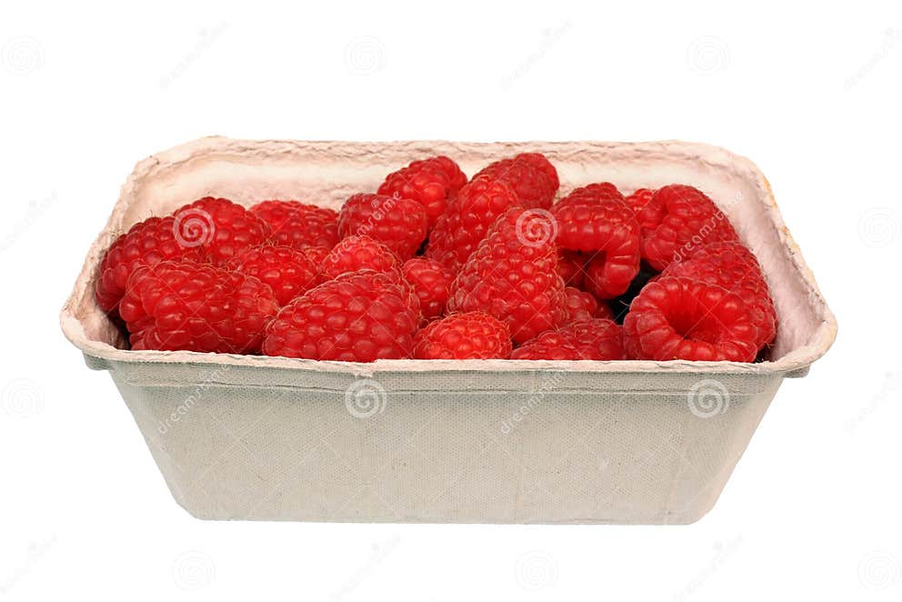 Raspberries stock image. Image of idaeus, healthy, nature - 33234885
