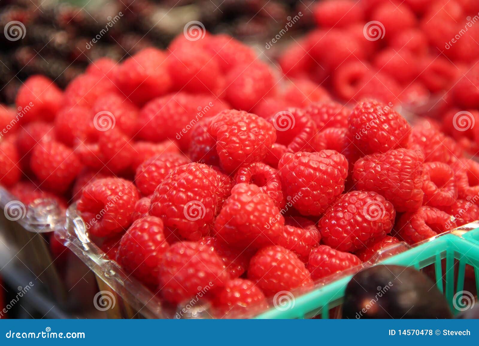 Raspberries in a Basket at a Farmers Market Stock Photo - Image of ...