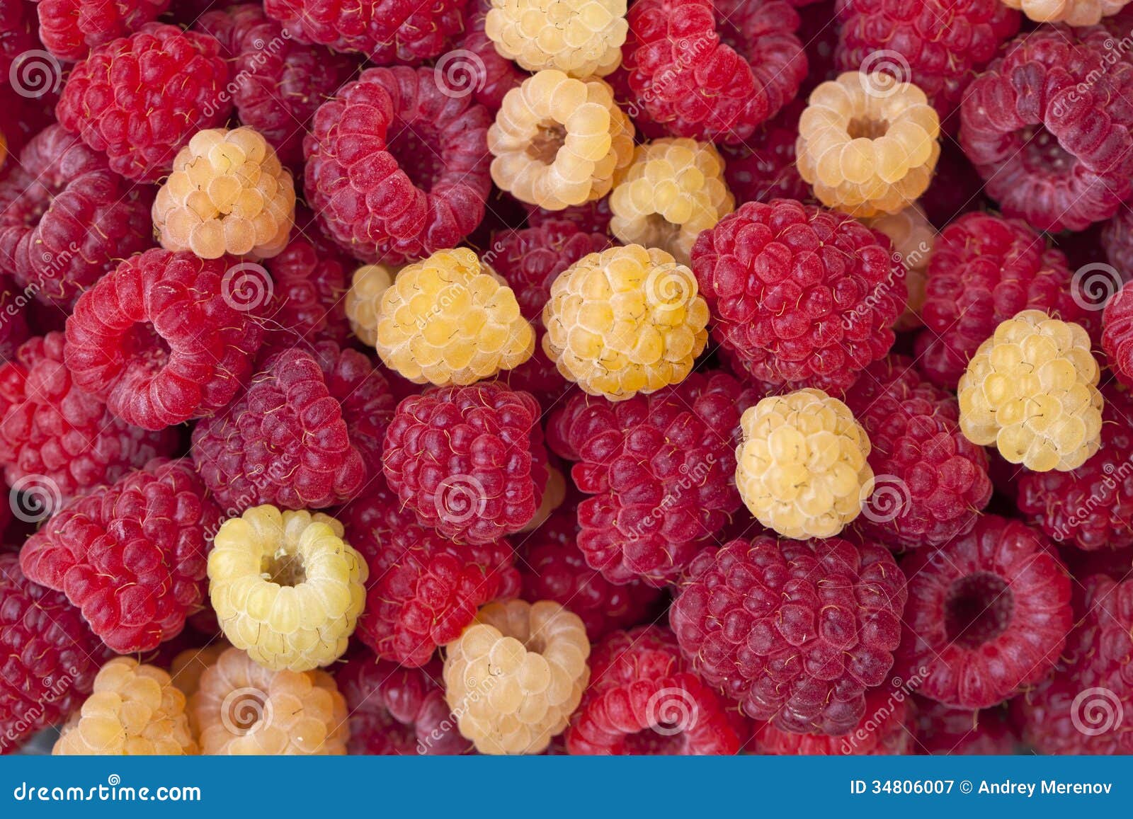 Raspberries_2 stock image. Image of farming, food, yellow - 34806007