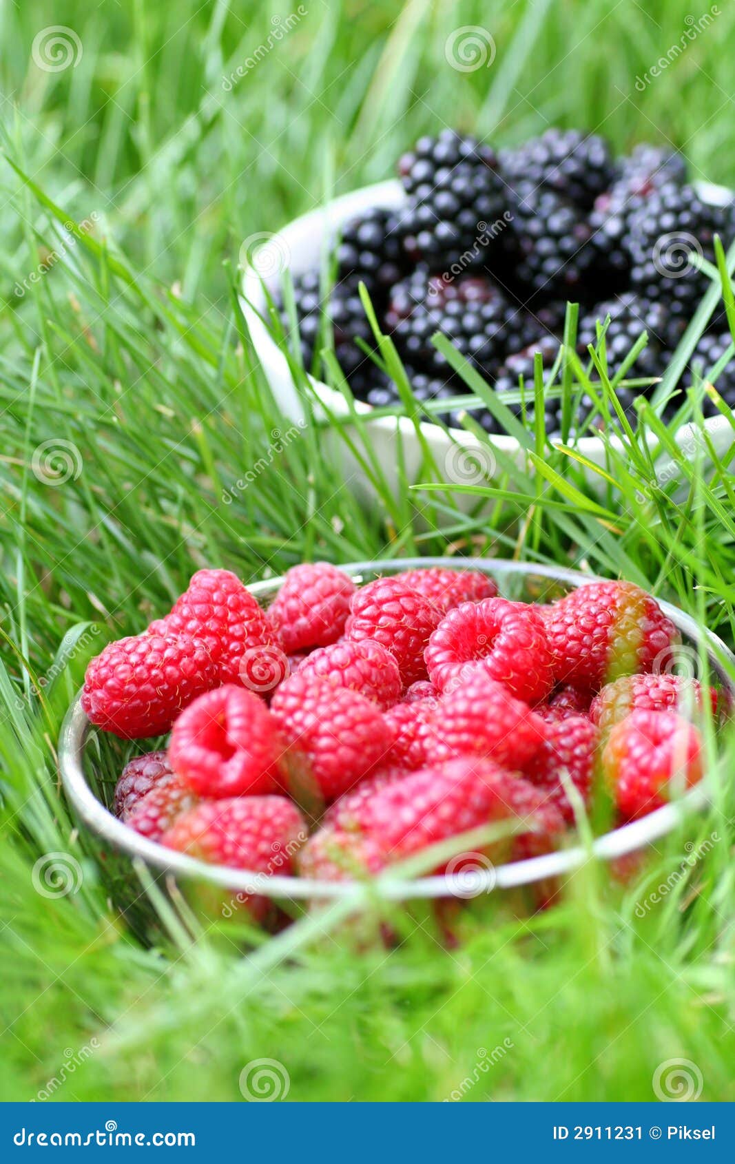 Raspberries and Blackberries Stock Image - Image of green, natural: 2911231