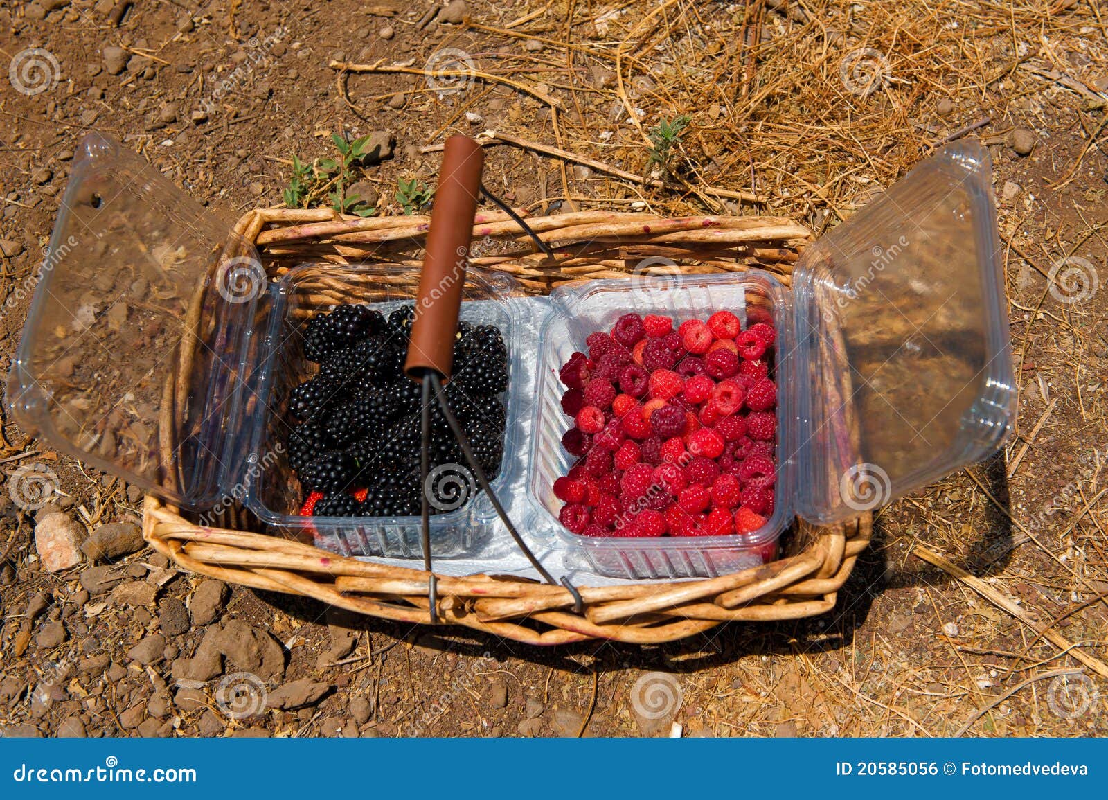 Raspberries and Blackberry in the Basket Stock Photo - Image of basket ...