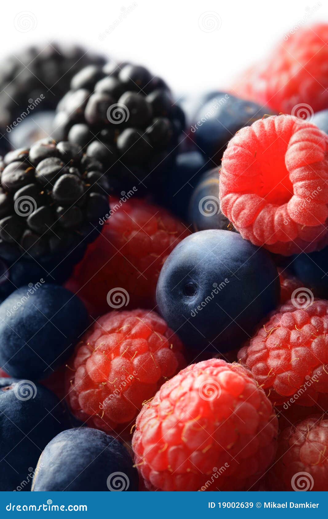 Raspberries & Blueberries Stock Image - Image of healthy, snack: 19002639