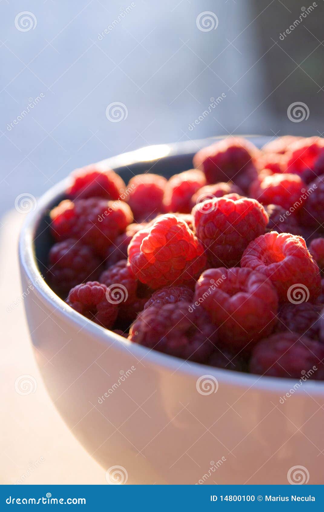 Raspberries bowl stock photo. Image of fruitage, juicy - 14800100