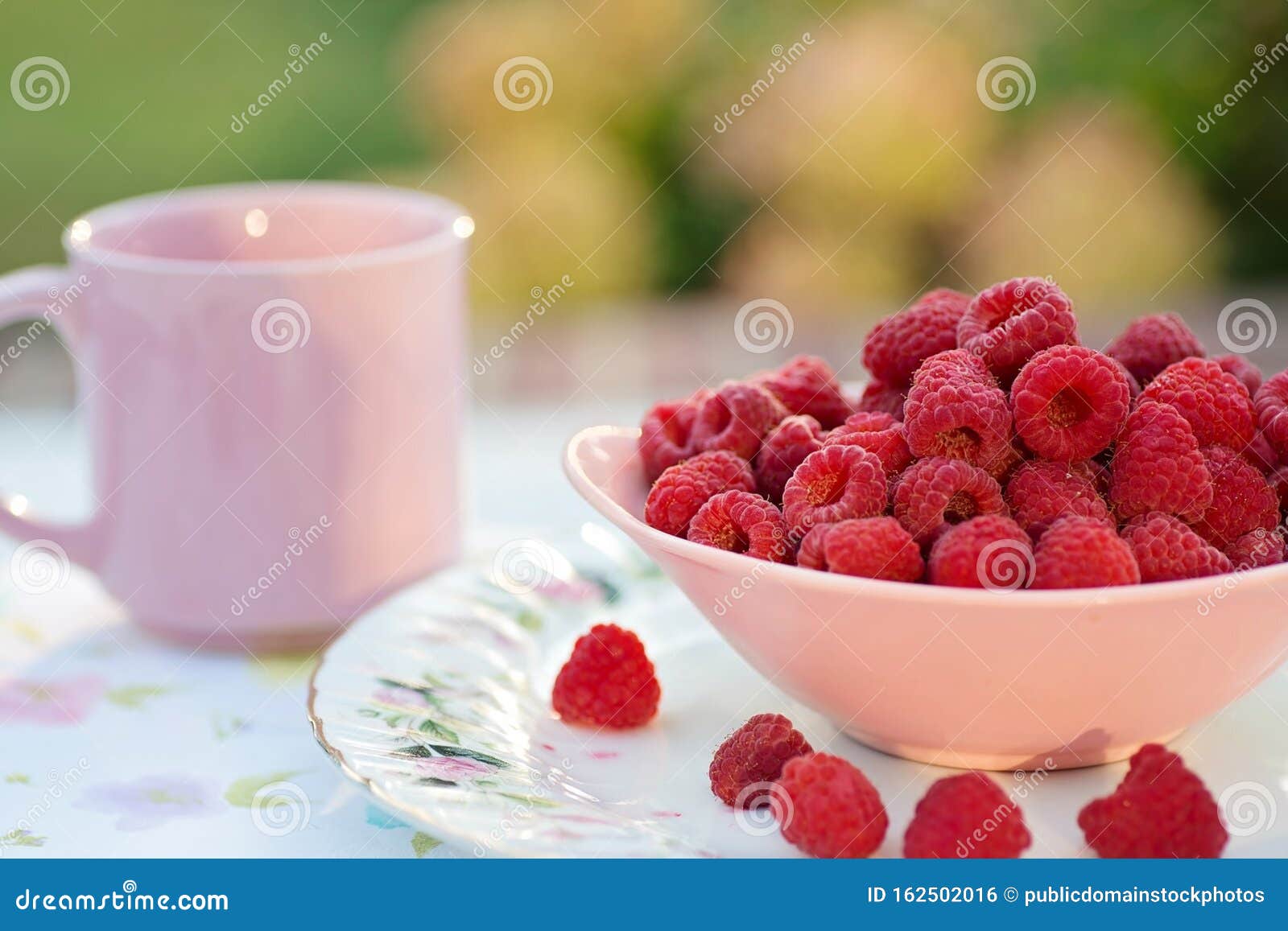 Raspberries In Breakfast Picture. Image: 162502016