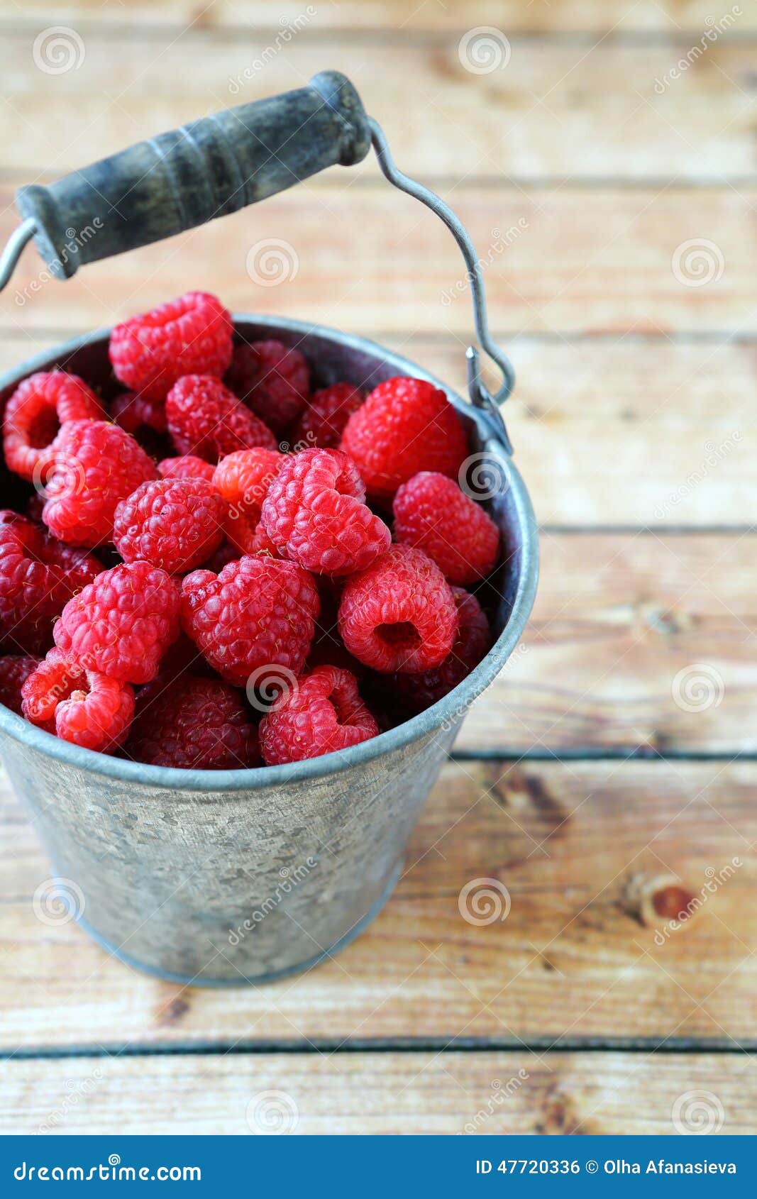 Raspberries in a bucket stock photo. Image of natural - 47720336