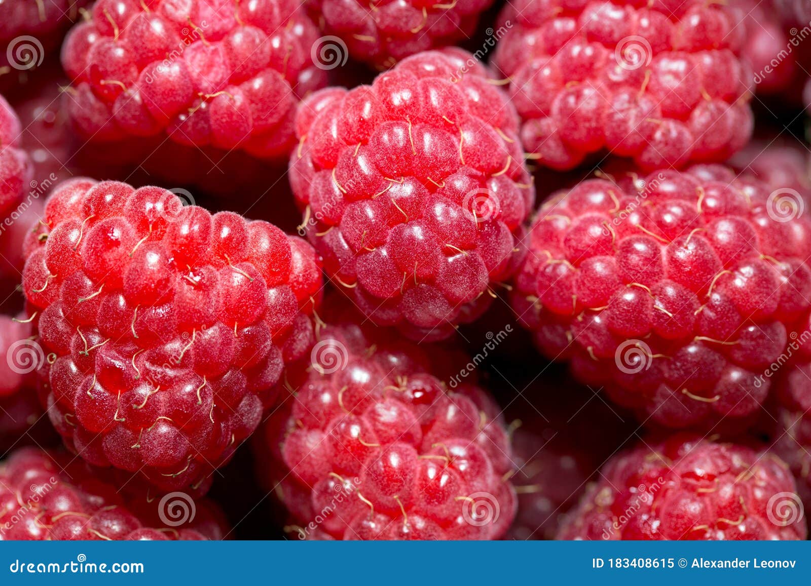 Raspberries stock image. Image of freshness, horizontal - 183408615