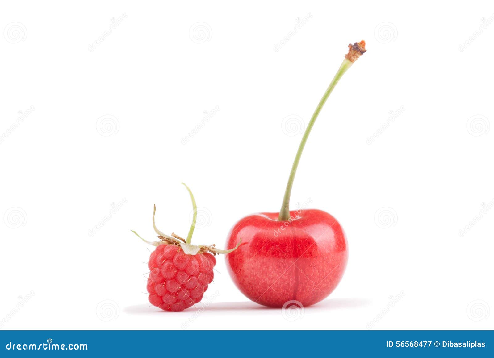 Raspberries and cherries stock image. Image of health - 56568477