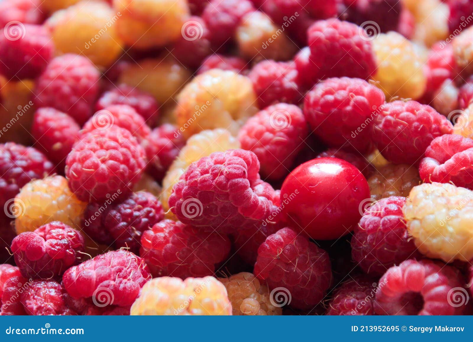Raspberries and Chinese Cherry Close-Up Stock Image - Image of ...