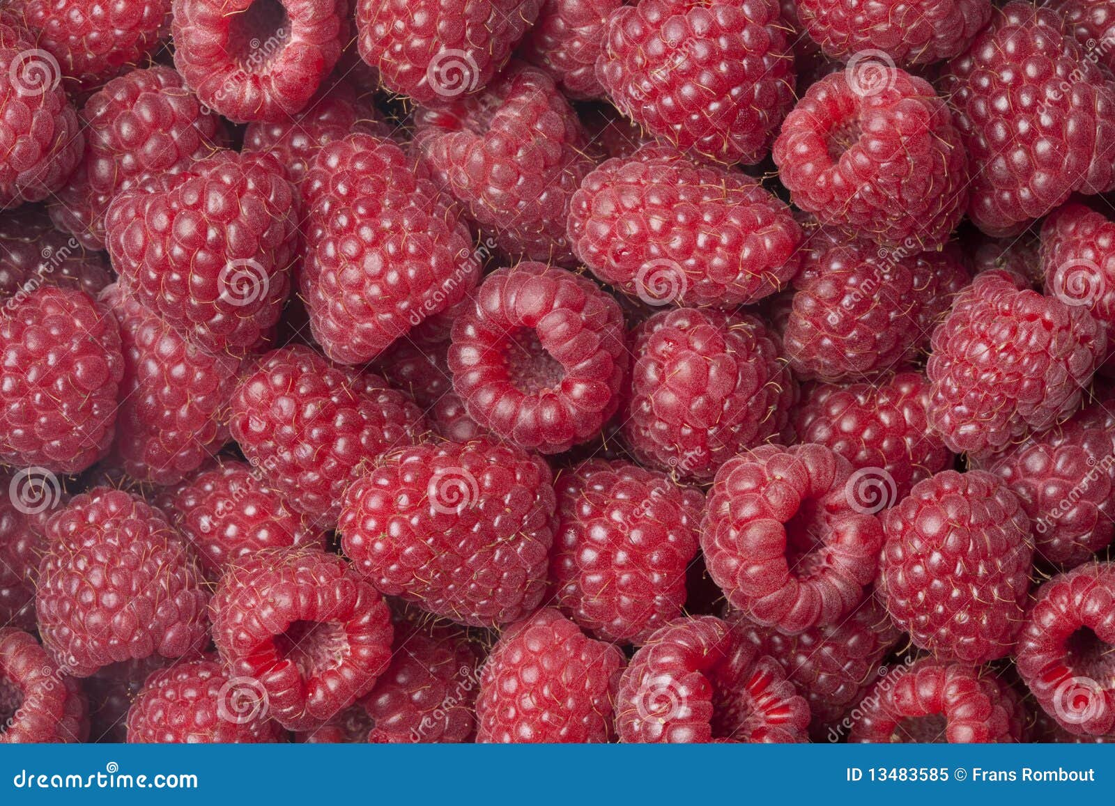 Raspberries close up stock image. Image of horizontal - 13483585