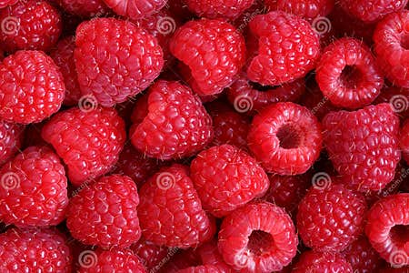 Raspberries stock photo. Image of macro, sweet, ripe - 30460038