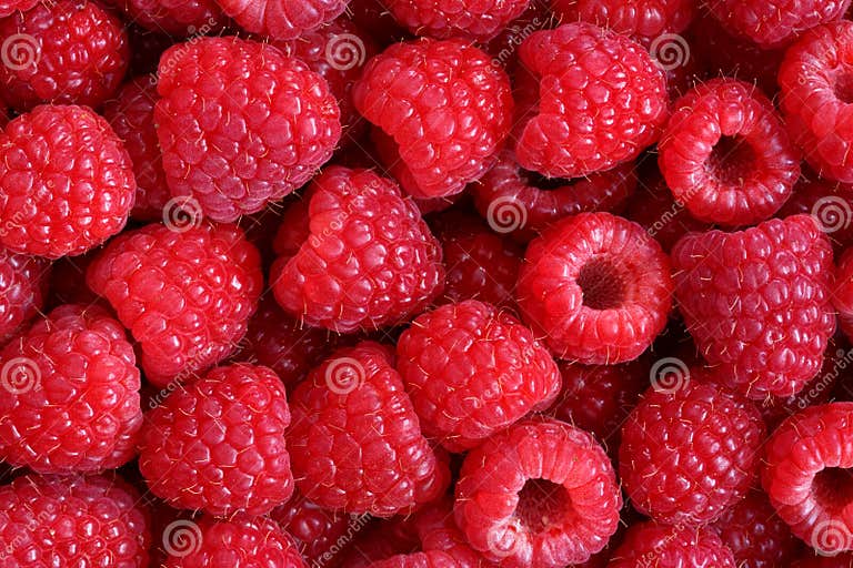 Raspberries stock photo. Image of macro, sweet, ripe - 30460038
