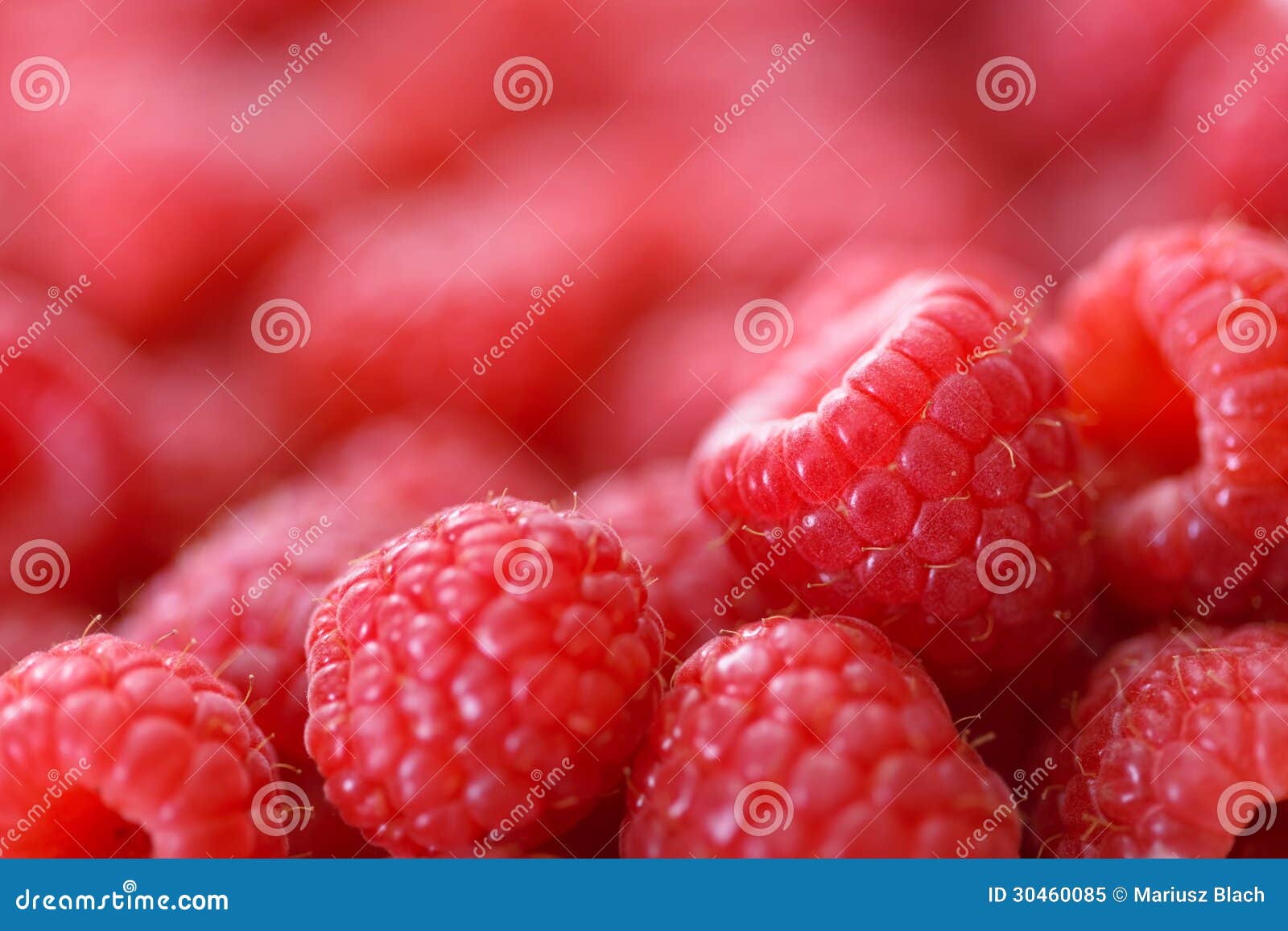 Raspberries stock image. Image of vitamins, macro, healthy - 30460085