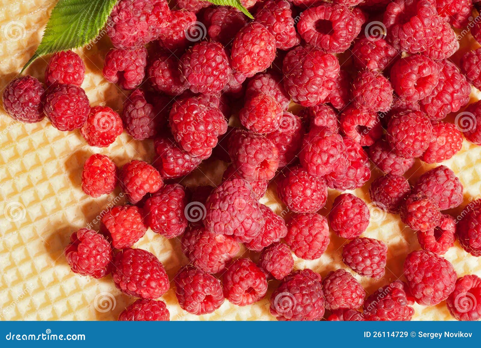 Raspberries on Crispy Gold Waffle Stock Image - Image of abstract, leaf ...