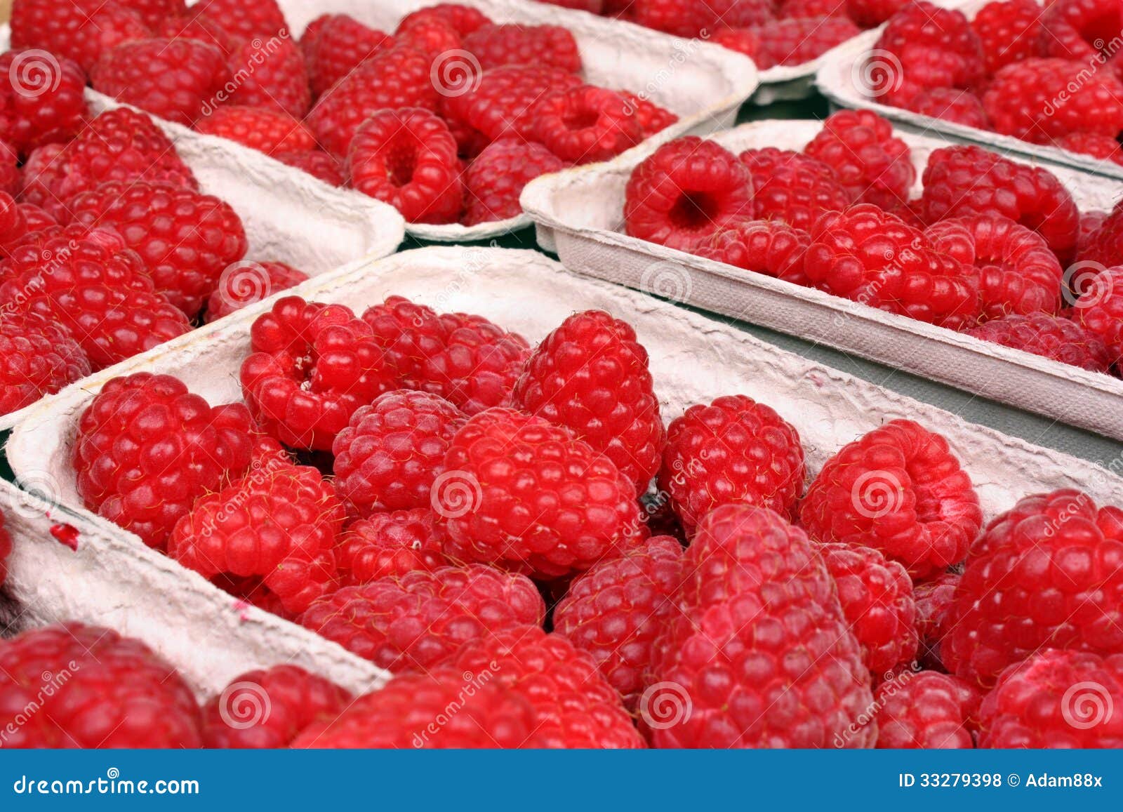 Raspberries stock photo. Image of container, color, diet - 33279398