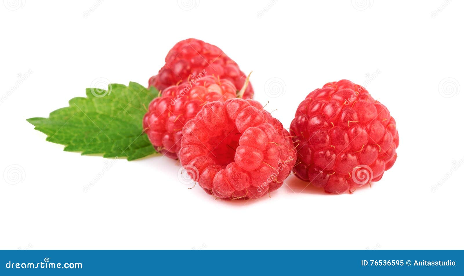 Raspberries with Fresh Mint Leaf Stock Image - Image of studio, vibrant ...