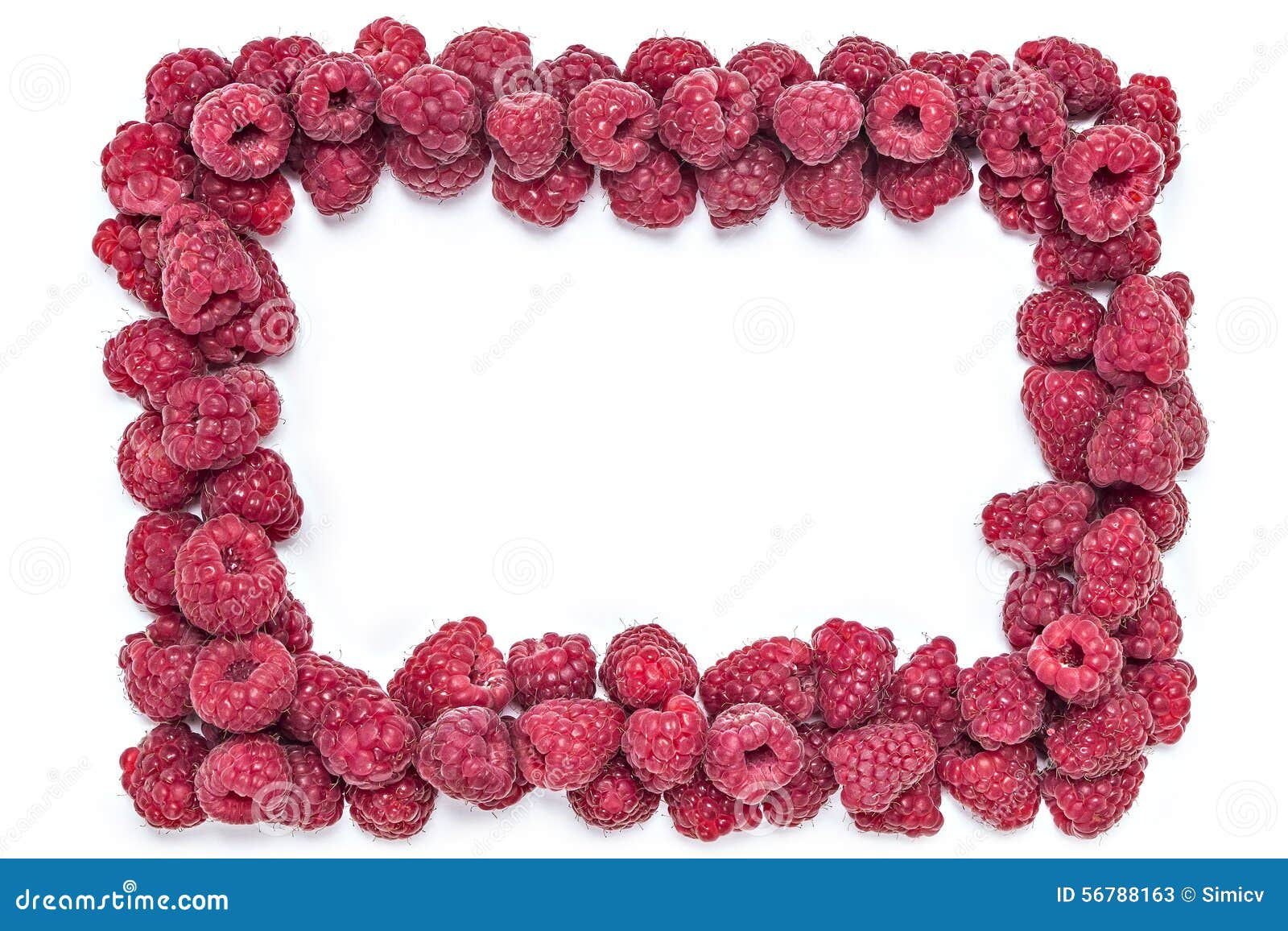 Raspberries stock image. Image of closeup, green, gourmet - 56788163