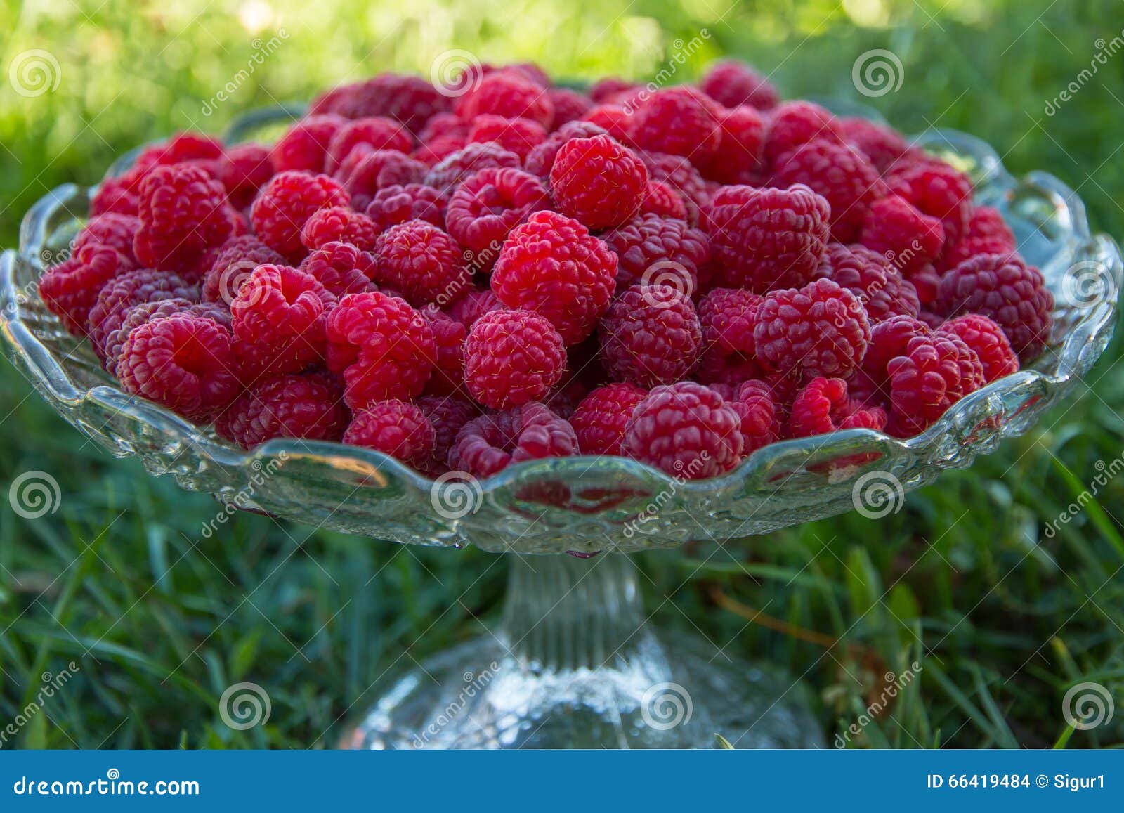 Raspberries in Glass Fruit Cup Stock Photo - Image of food, appetizing ...