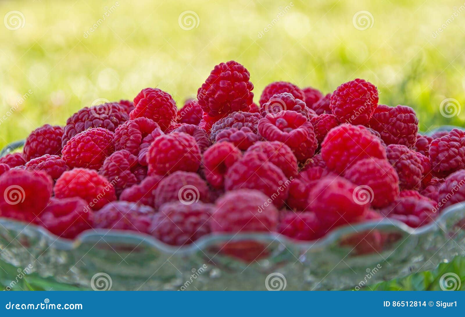 Raspberries in Glass Fruit Cup Stock Photo - Image of detail, frosted ...