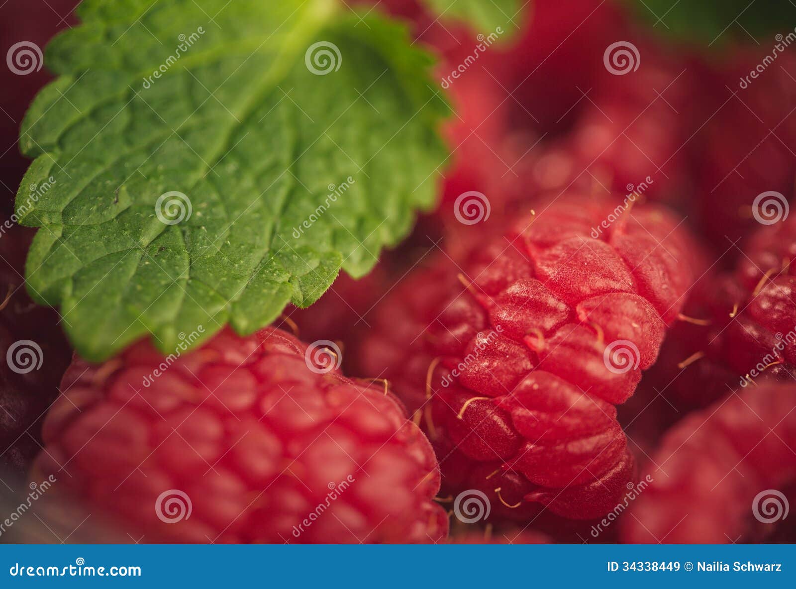 Raspberries stock image. Image of fresh, fruit, blackberry - 34338449
