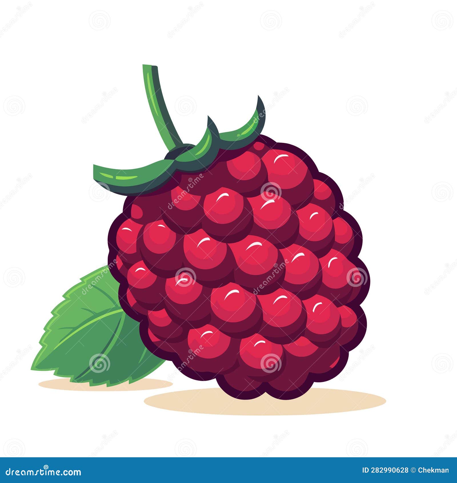 Raspberries Image. Cute Image of an Isolated Raspberries. Vector ...
