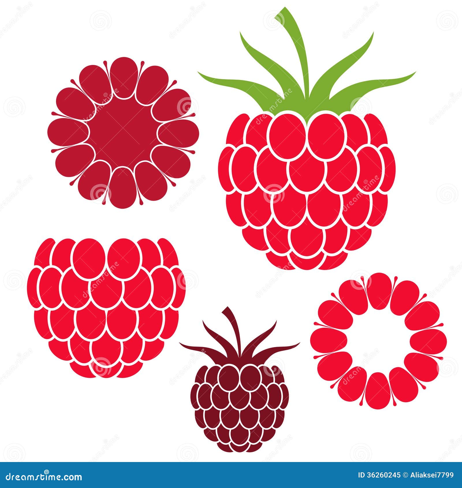 Raspberries Cartoon Vector | CartoonDealer.com #2604235