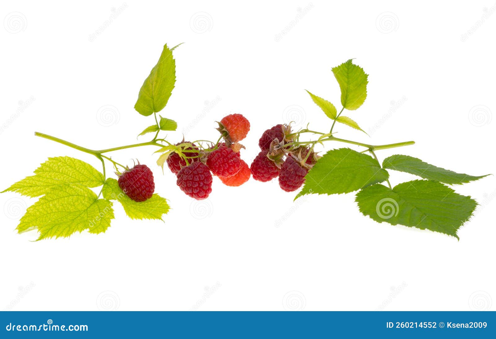 Raspberries Food Label at Thomas Marriott blog