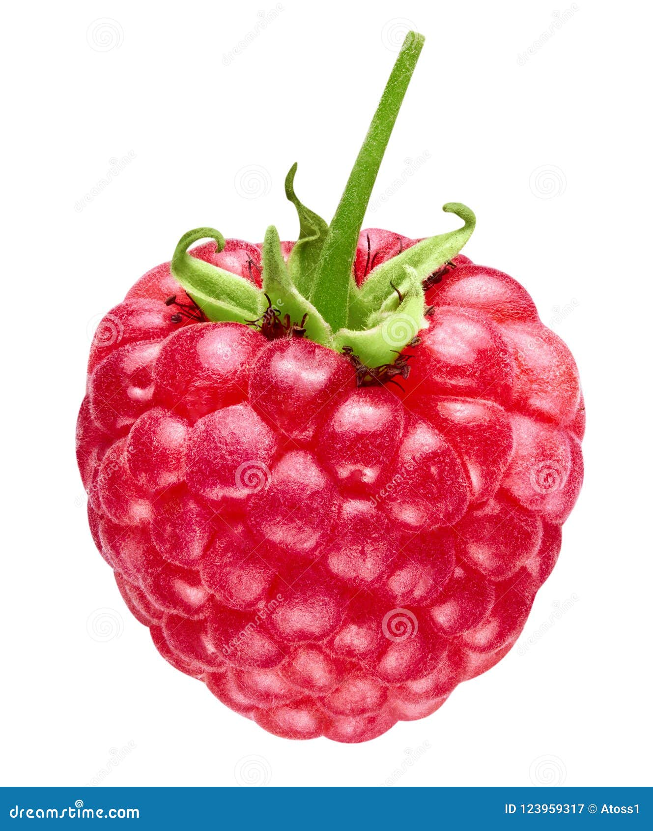 Raspberries Isolated on White Stock Image - Image of ripe, food: 123959317