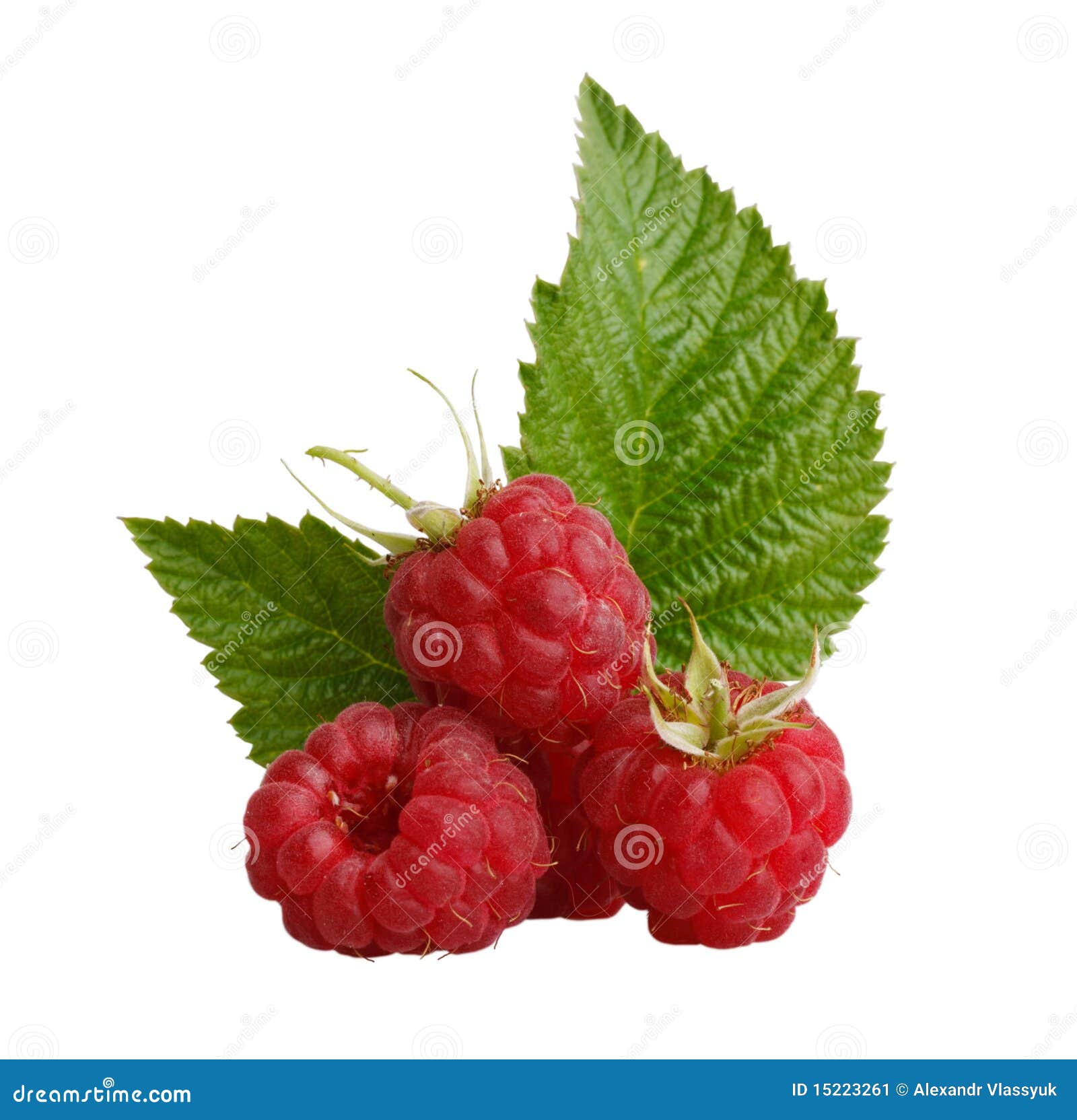 Raspberries and leaves stock image. Image of raspberry - 15223261