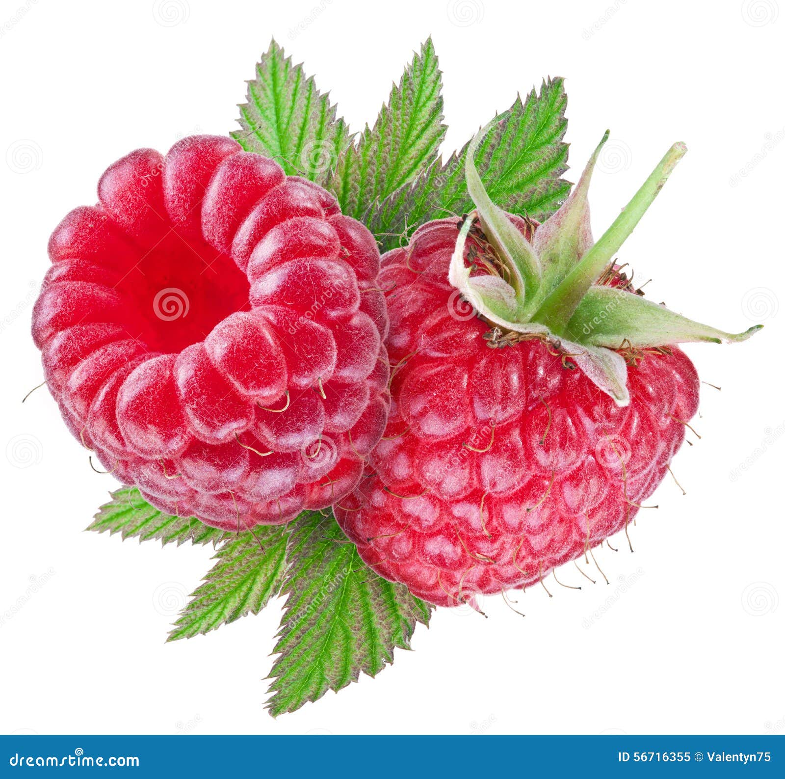 Raspberries with leaves. stock image. Image of sweet - 56716355