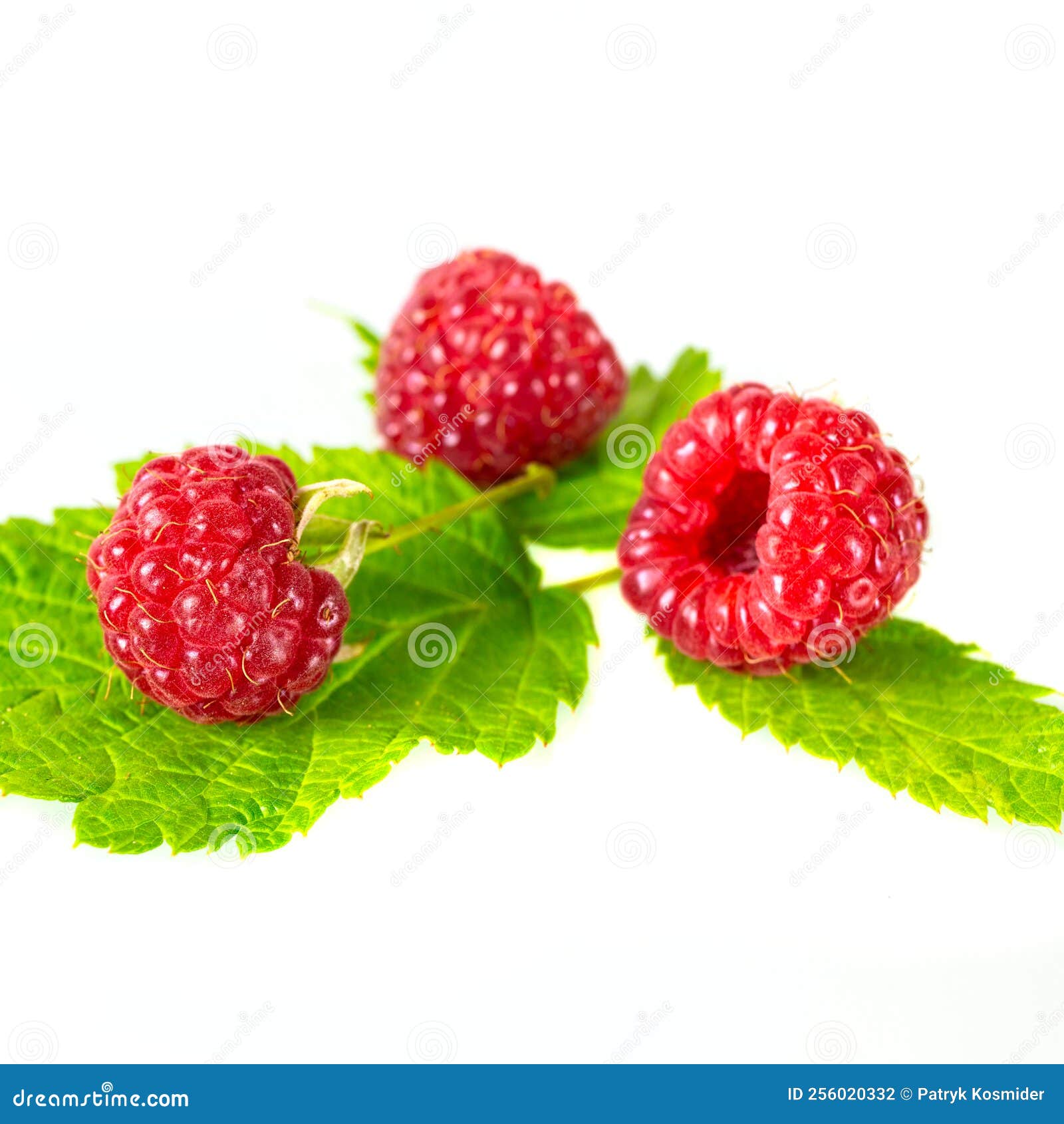 Raspberries with Leaves Isolated on a White Background Stock Photo ...