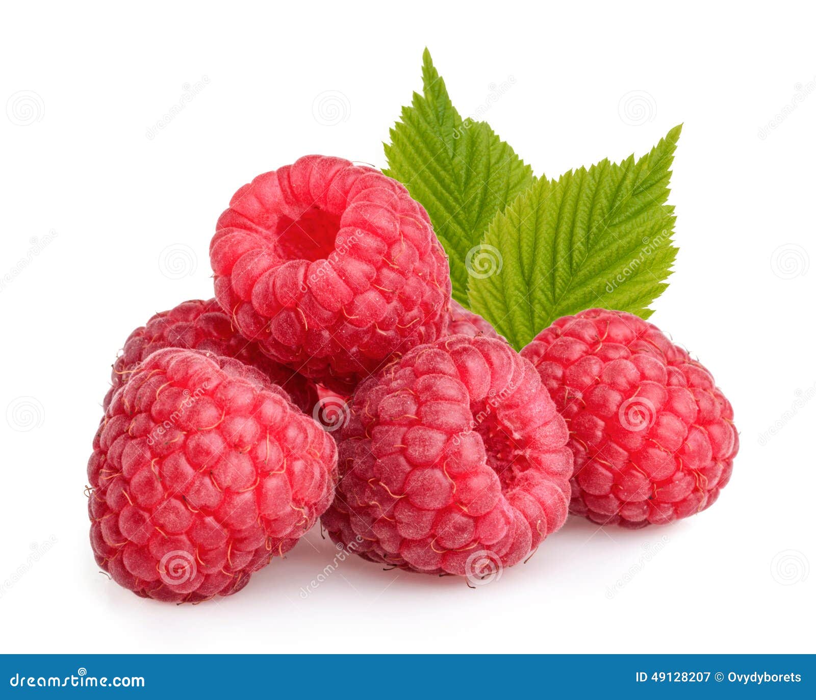 Raspberries with Leaves Isolated Stock Image - Image of background ...