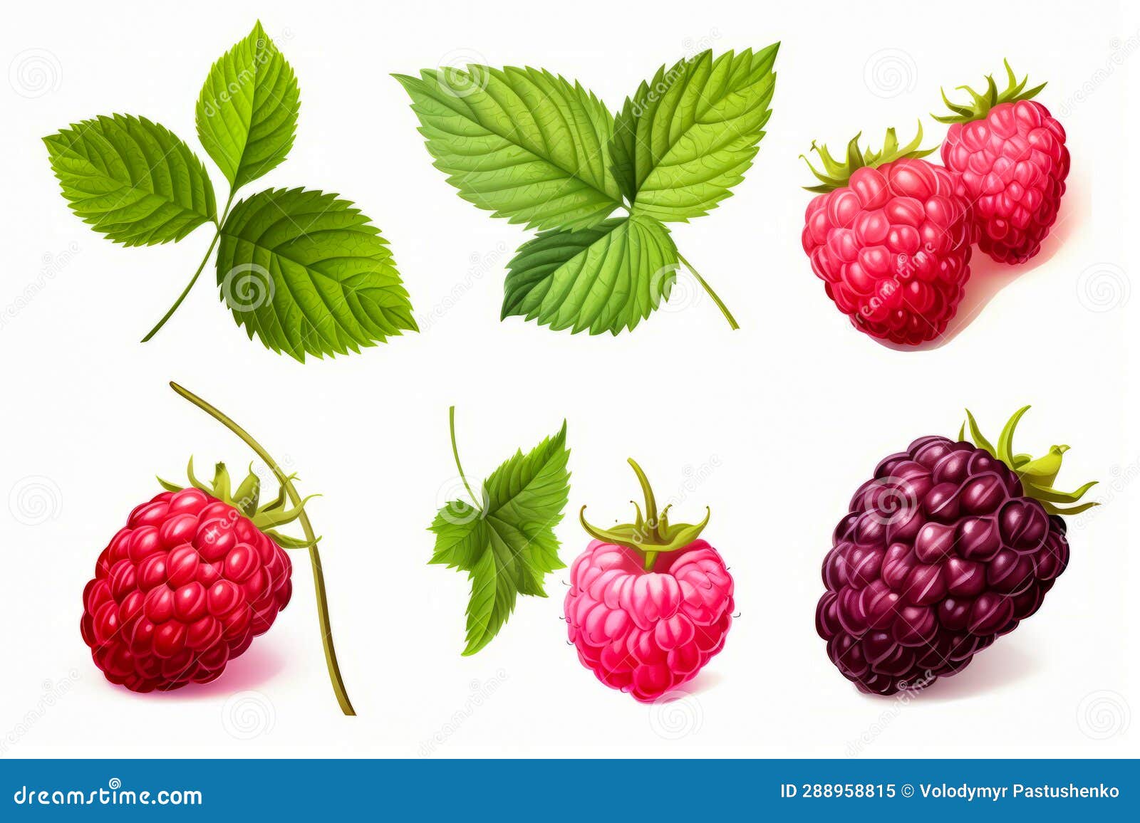 Raspberries and Leaves on White Background with Green Leaf. Generative ...