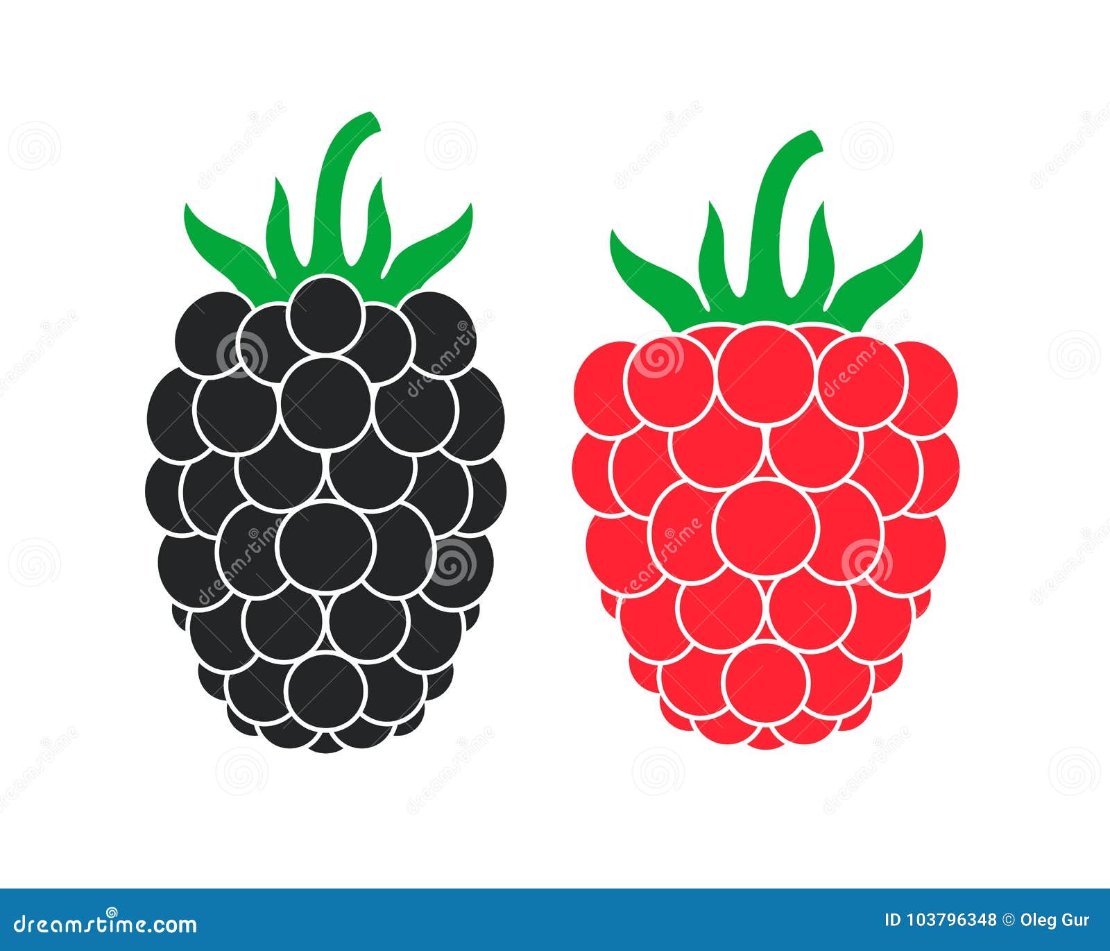 Raspberries Logo. Blackberry Logo Stock Vector - Illustration of ...