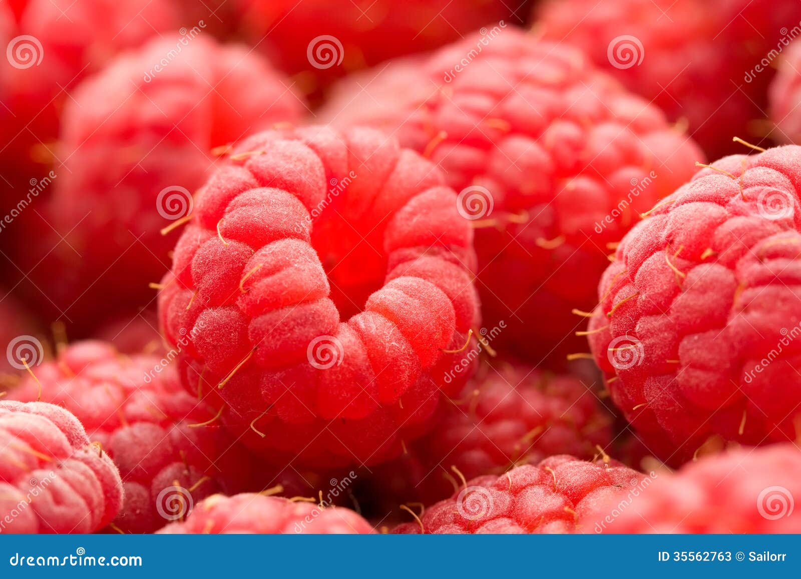 Raspberries stock image. Image of raspberry, nutrition - 35562763